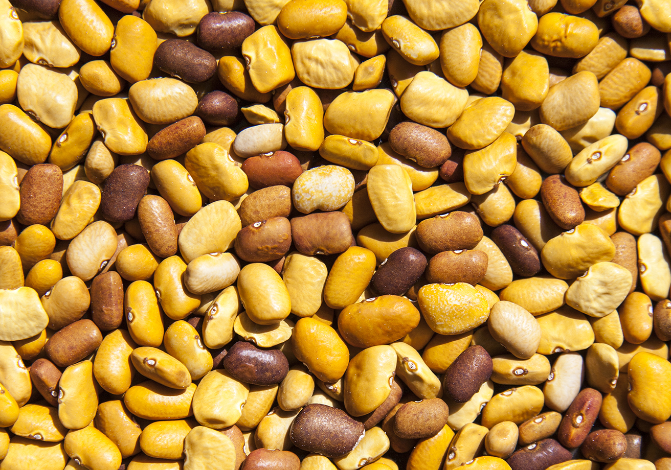 5 Must-Know Native American Dishes and Where to Eat Them