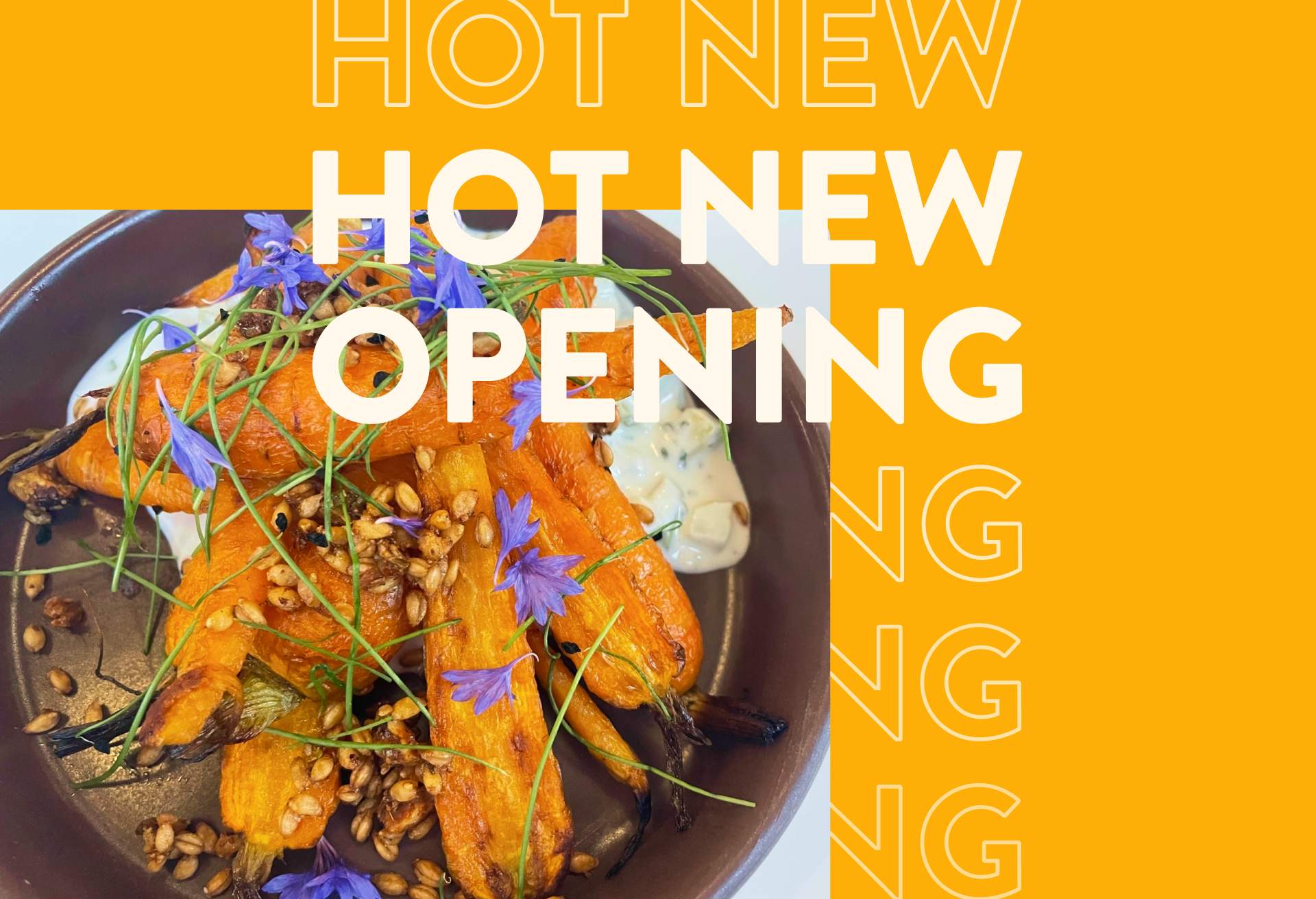 Point Easy Brings Tasting Menus to Denver's Former Whittier Pub Space