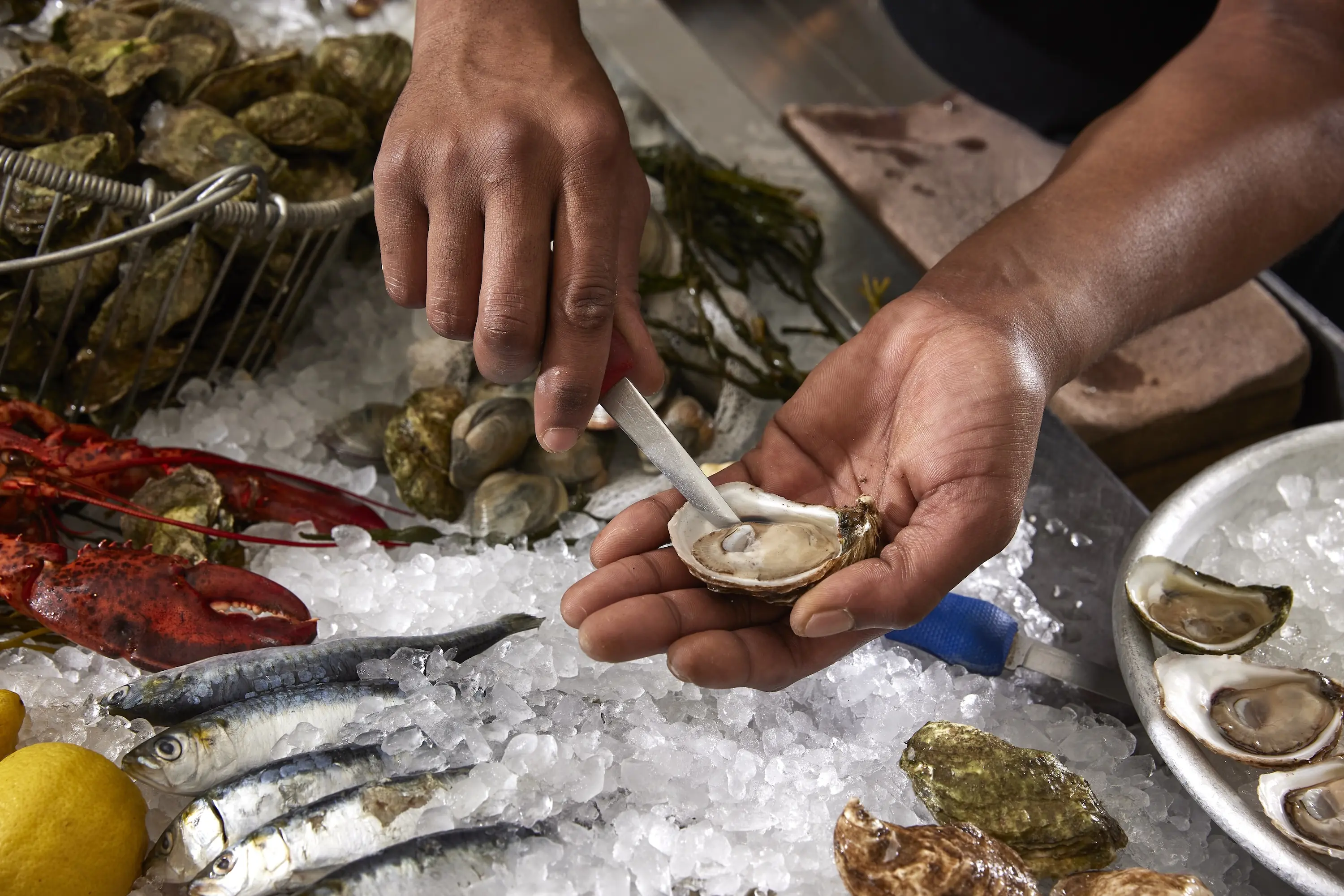 Oyster House in Philadelphia: Everything to know - OpenTable Blog