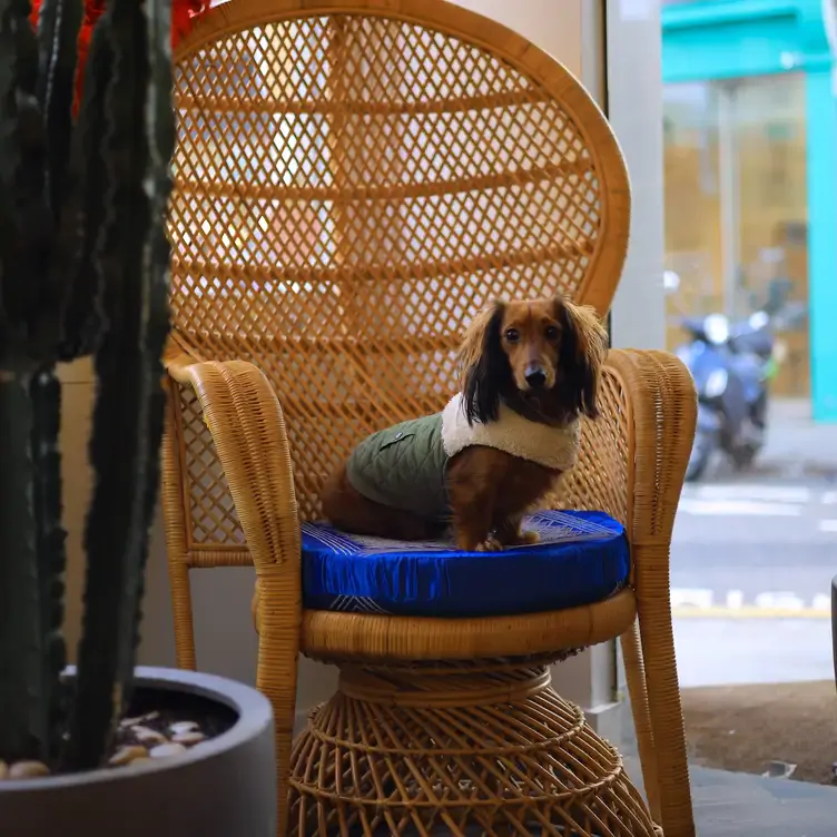 The best Mexican restaurants in London for summer 2025 - Top 13 ...