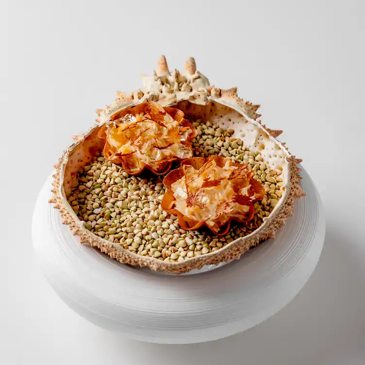 The best tasting menus in London for 2025 - Top 10 must-try - OpenTable ...