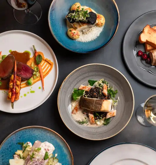 OpenTable Dining Experiences | New Dining Offers Every Month