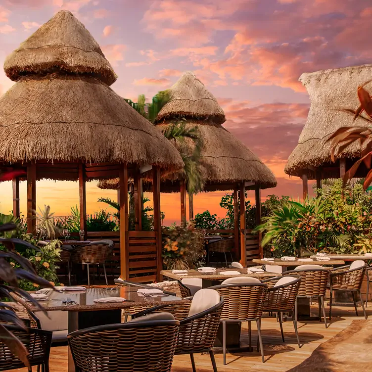 Los mejores restaurantes en Cancún - Top 10 | OpenTable MX