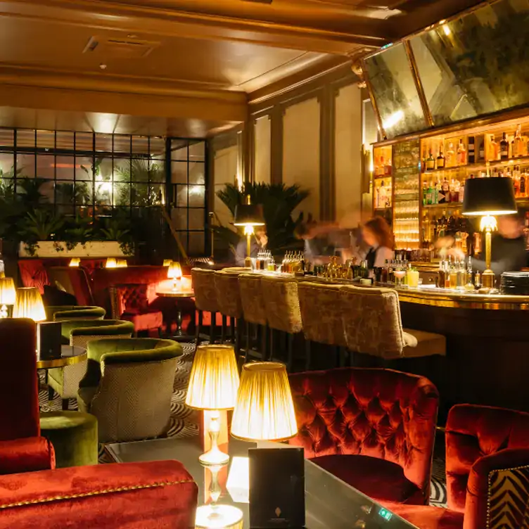 The best bars in Dublin to try in 2025 - Top 11 | OpenTable IE